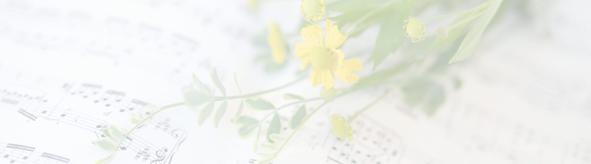 Daisy Music Academyとは？